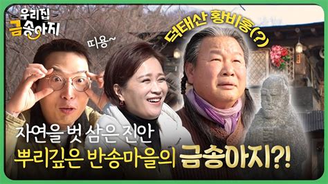 뿌리깊은 진안의 금송아지 🐮가 아니라 황비홍 이 떴다 우리집 금송아지 4회 다시보기 재미 Play Youtube