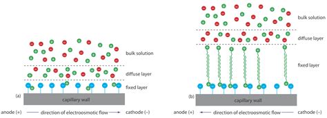 303 Applications Of Capillary Electrophoresis Chemistry Libretexts