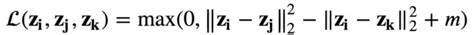 Zichen Wang Contrasting Contrastive Loss Functions · Issue 57