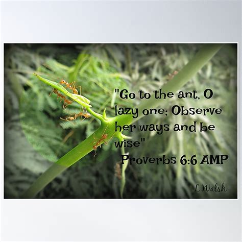 Proverbs 66 Busy Ants Poster Wall Art Modern Wall Decor For Living