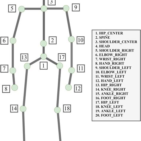 Representation Of Human Body Joints By Microsoft Kinect Download Scientific Diagram