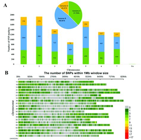 Distribution Of 10481 Single Nucleotide Polymorphism Snp Markers Download Scientific Diagram
