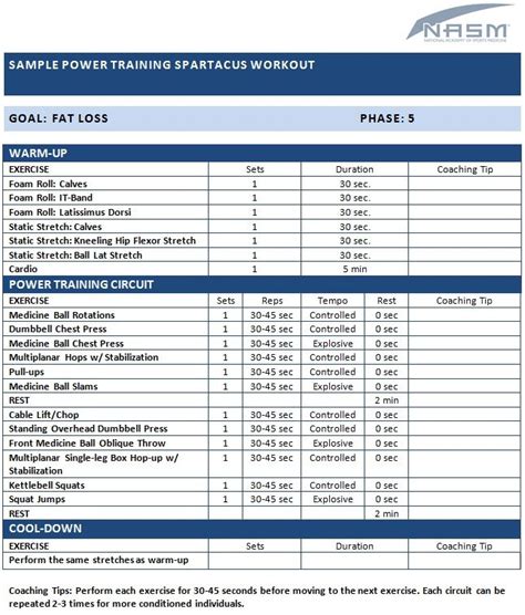 Nasm Opt Model Template