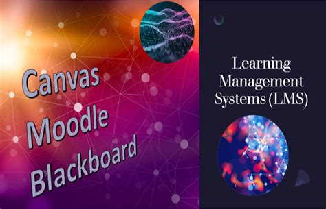 embedding ai into learning management systems lms in higher education