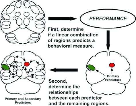 Schematic Description Of Performance Based Connectivity Analysis The