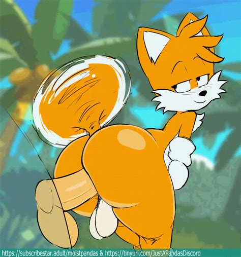 Post Animated KingOfAcesX Sonic The Hedgehog Series Tails