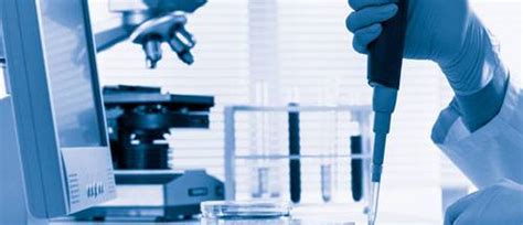 Organic And Mutagenic Impurities Gmp Verlag Peither Ag