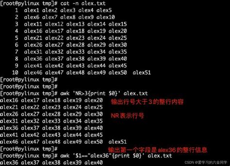 Linux三剑客（grep、sed、awk） Csdn博客