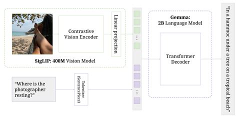 Paligemma Vlm For Image Captioning A Practical Guide Using Kaggle And