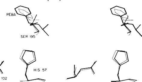 Figure 1 From Structure Of A Tetrahedral Transition State Complex Of