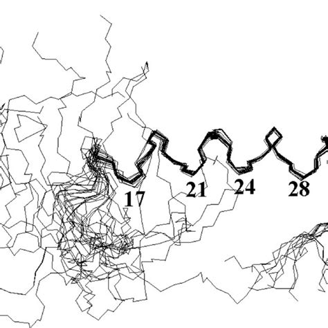 Nmr Ensemble Of The 20 Lowest Energy Structures Of Bpp Bound To Dpc