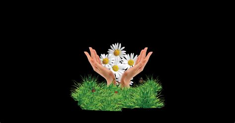 Go Touch Grass Y2k Aesthetic Sticker Teepublic