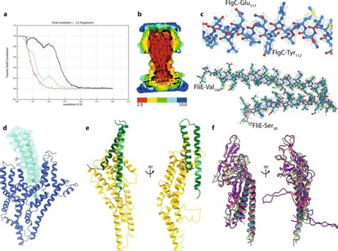 Structure Of The Intact Flagellar Rod A Gold Standard Fourier Shell