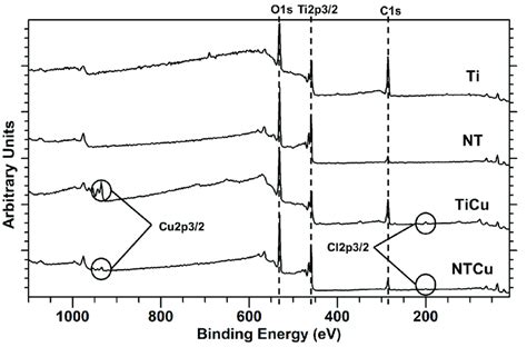 XPS Survey Spectra For Different Surfaces Download Scientific Diagram