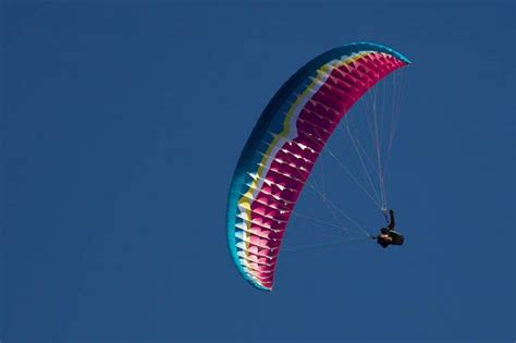 Ofs Basic Ofs Ofs Wp