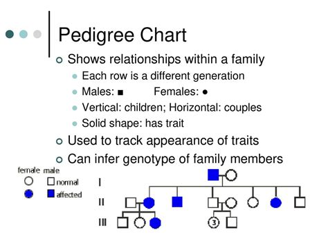 Genetic Disorders And Chromosomal Mutations Ppt Download