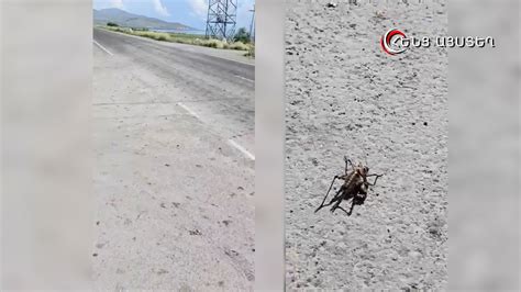 Աղետ Գեղարքունիքի մարզի Ճամբարակ Շողակաթ հատվածում Youtube