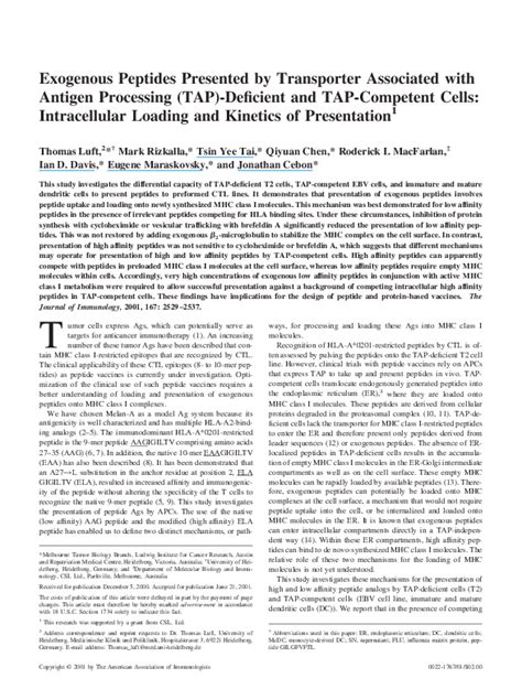 Pdf Exogenous Peptides Presented By Transporter Associated With
