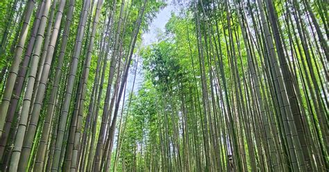 70개 여행지 할인 ‘대한민국 구석구석 여행가는 가을