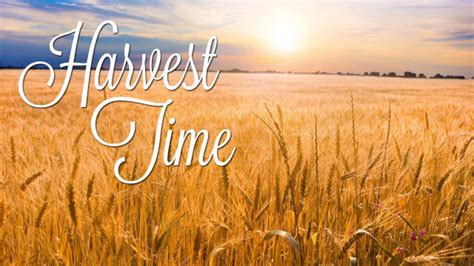 Principles Of Harvest Immanuel Conrad Ministries