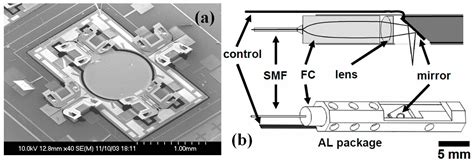 New Endoscopic Imaging Technology Based On Mems Sensors And Actuators Rpolight