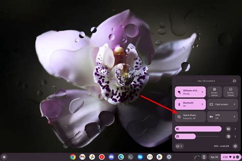 How To Enable Quick Share In Chromebook Paradise News