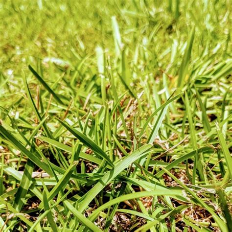 Stream Eggy Pie By Signal Controller Listen Online For Free On Soundcloud