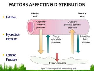 Fluidelectrolyte Acid Base Balance And Homeostasis Pptx