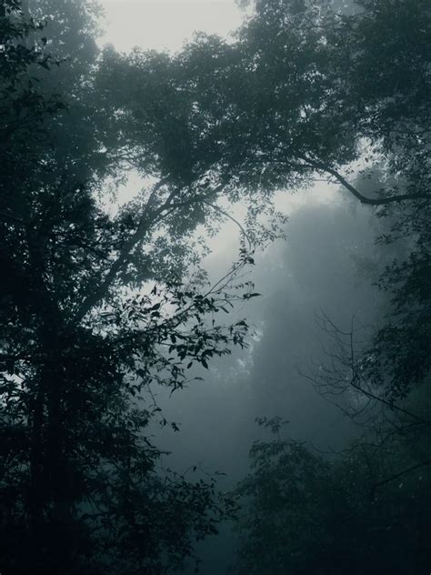 ขับรถสัมผัสสายหมอกบนดอยปุยสุเทพเชียงใหม่ แกลเลอรีที่โพสต์โดย หาที่หลง Lemon8