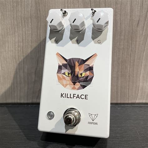 Unknown [used] Foxpedal Killface V2 Reverb