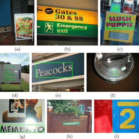 Examples Of Text Line Extraction Results Download Scientific Diagram