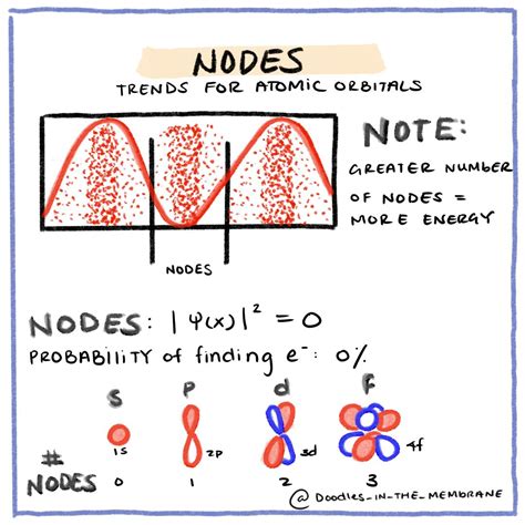 Organic Chemistry Infographic E2 Reactions Artofit