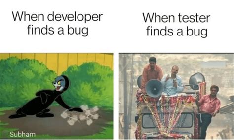 When We Find A Bug Shhhhh And Unfortunately When The Testers Found It