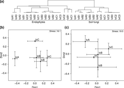 Ordination Of Fungal Communities Data A Dendrogram Constructed By Download Scientific Diagram