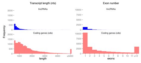 Pdf Distribution Of Transcript Lengths And Exon Numbers