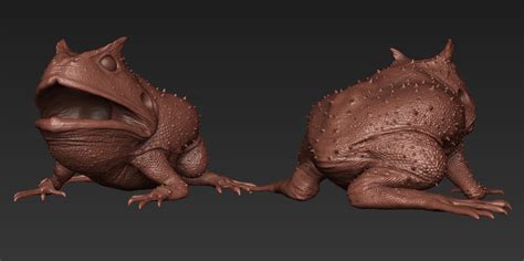 Beelzebufo Devil Frog