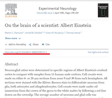 What Is A DOI APA MLA Chicago Formats Wordvice