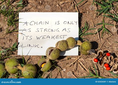 A Chain Is Only As Strong As Its Weakest Link Creative Motivation Concept Stock Image Image