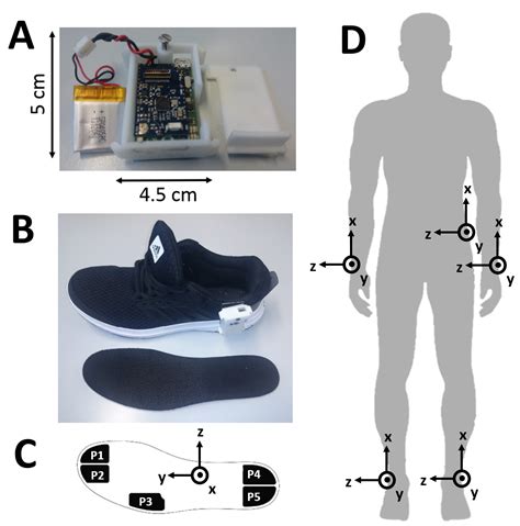 Wearable Multi Sensor Gait Based Daily Activity Data MaD Lab