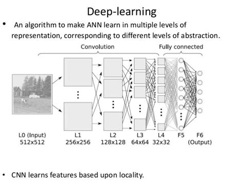 Neuroevolution And Deep Learing