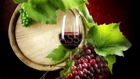 Хүрэн усан үзэм залуужуулах ид шидтэй