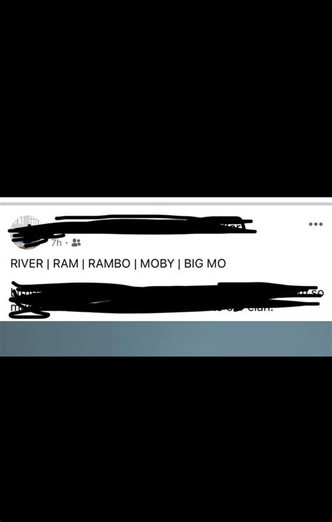 Big Mo And Bobbie Baer 🧸 Rtragedeigh