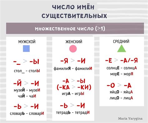 Чисто имён существительных Русский язык El Número Del Sustantivo El Idioma Ruso
