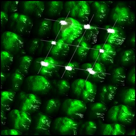 Membrane Protein Crystallization Plos One