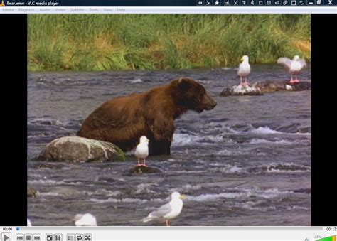How To Rotate Videos In VLC Media Player Tip DotTech