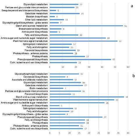 Annotation Analysis Of The Kegg Pathway Of Differentially Expressed