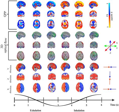 Optical Flow Analysis To Produce Mean Velocity Maps Over Entire