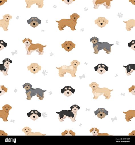 Lucas Terrier Seamless Pattern Different Coat Colors Set Vector