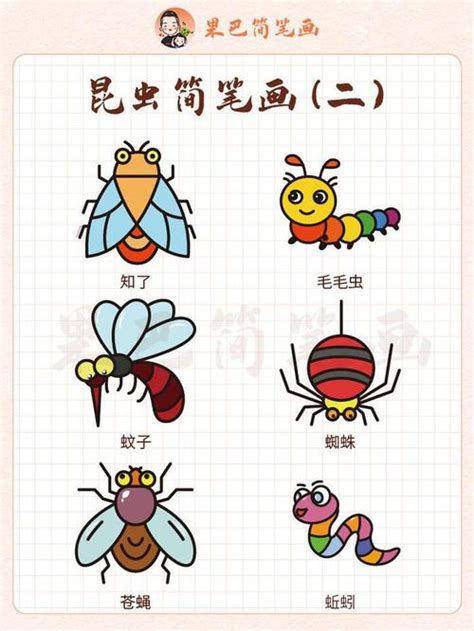 各种昆虫简笔画 各种昆虫简笔画图片大全 画趣文库（我爱生活）
