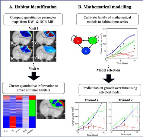 Habitat Identification And Modelling Pipeline A Dce Mri And Dw Mri